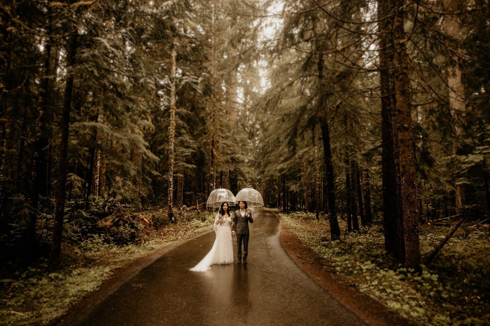 A Simple Guide to Getting Your Washington State Marriage License