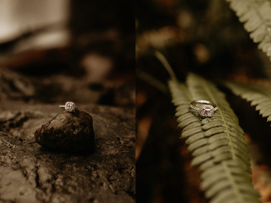 Top 20 Best Proposal Spots in Seattle, WA