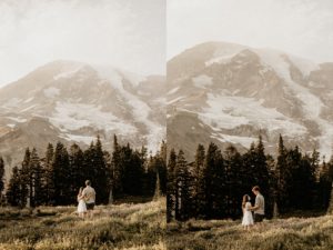 Top 20 Best Proposal Spots in Seattle, WA