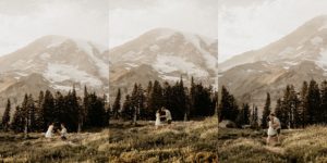 Top 20 Best Proposal Spots in Seattle, WA