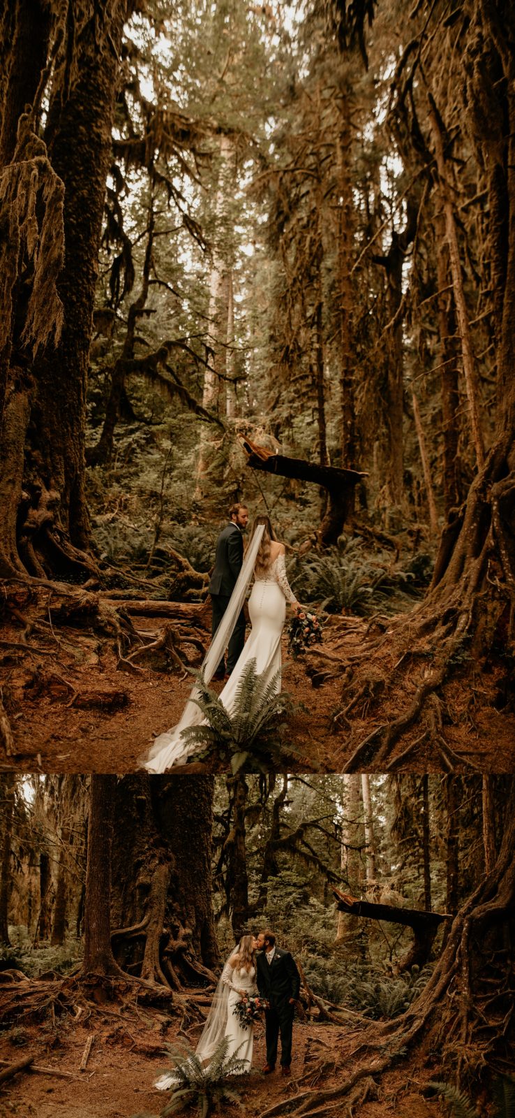 5 Best Forest Elopement Locations in the Pacific Northwest