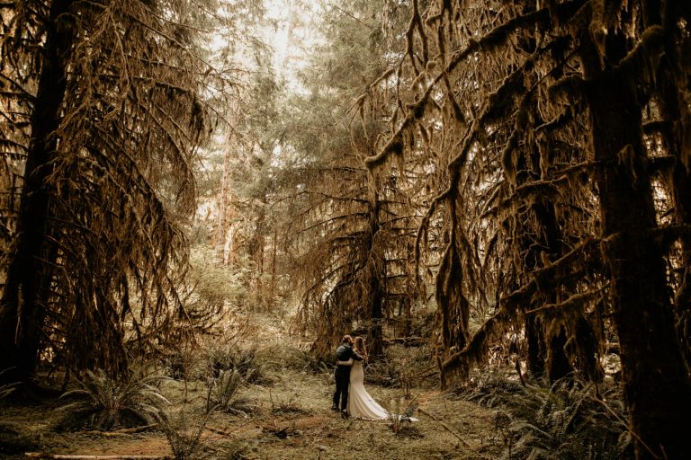 5 Best Forest Elopement Locations in the Pacific Northwest