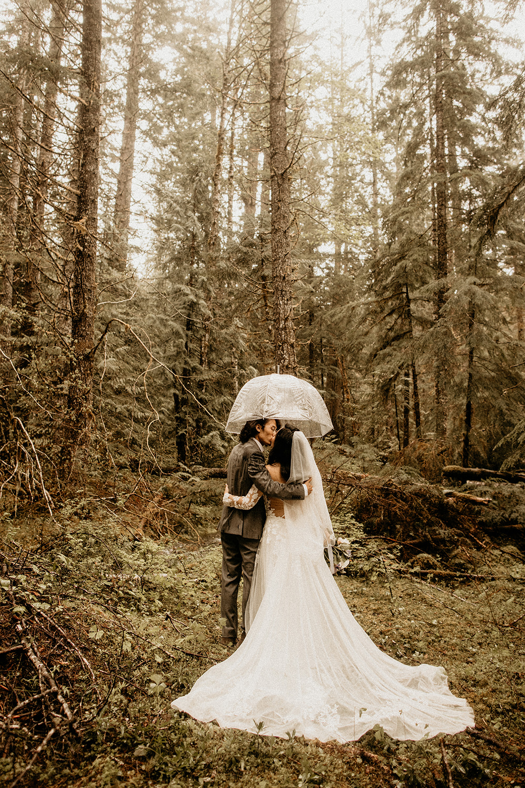 5 Best Forest Elopement Locations in the Pacific Northwest