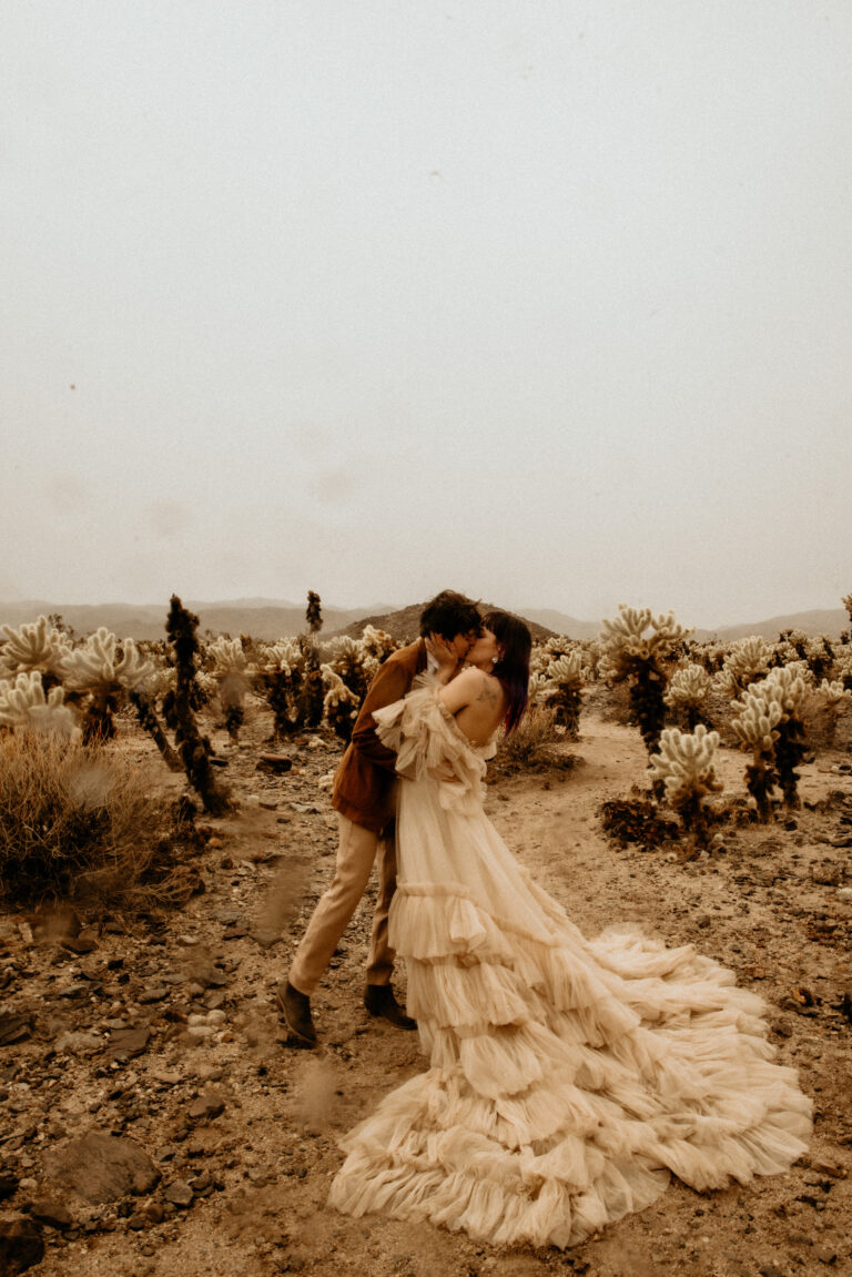 Boho Joshua Tree Cholla Garden Elopement