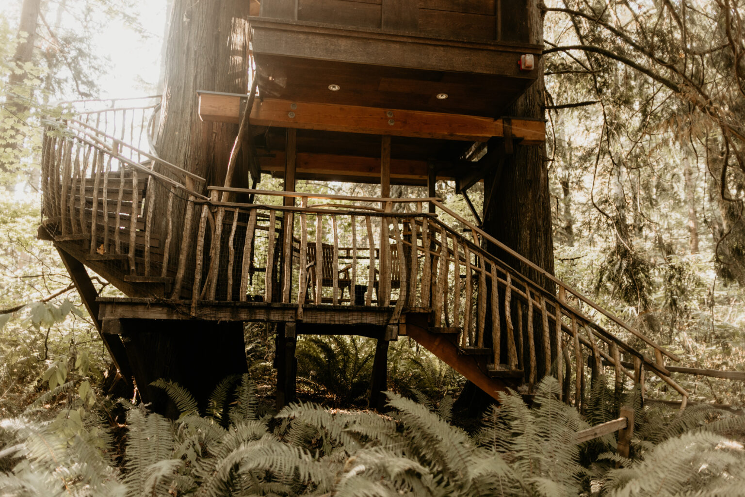 Andrea & Ricky's Woodsy Fall Elopement at TreeHouse Point