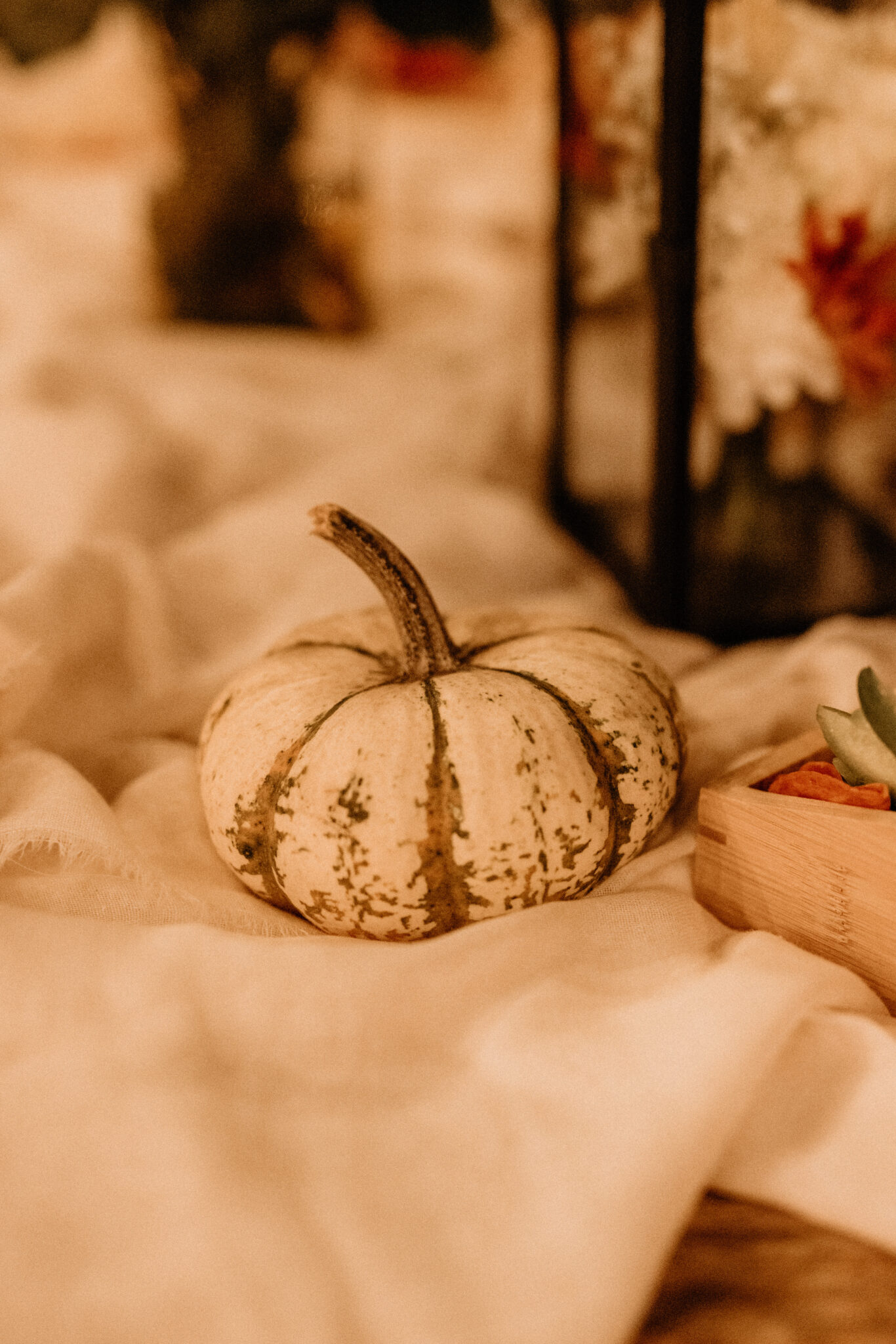 Andrea & Ricky's Woodsy Fall Elopement at TreeHouse Point