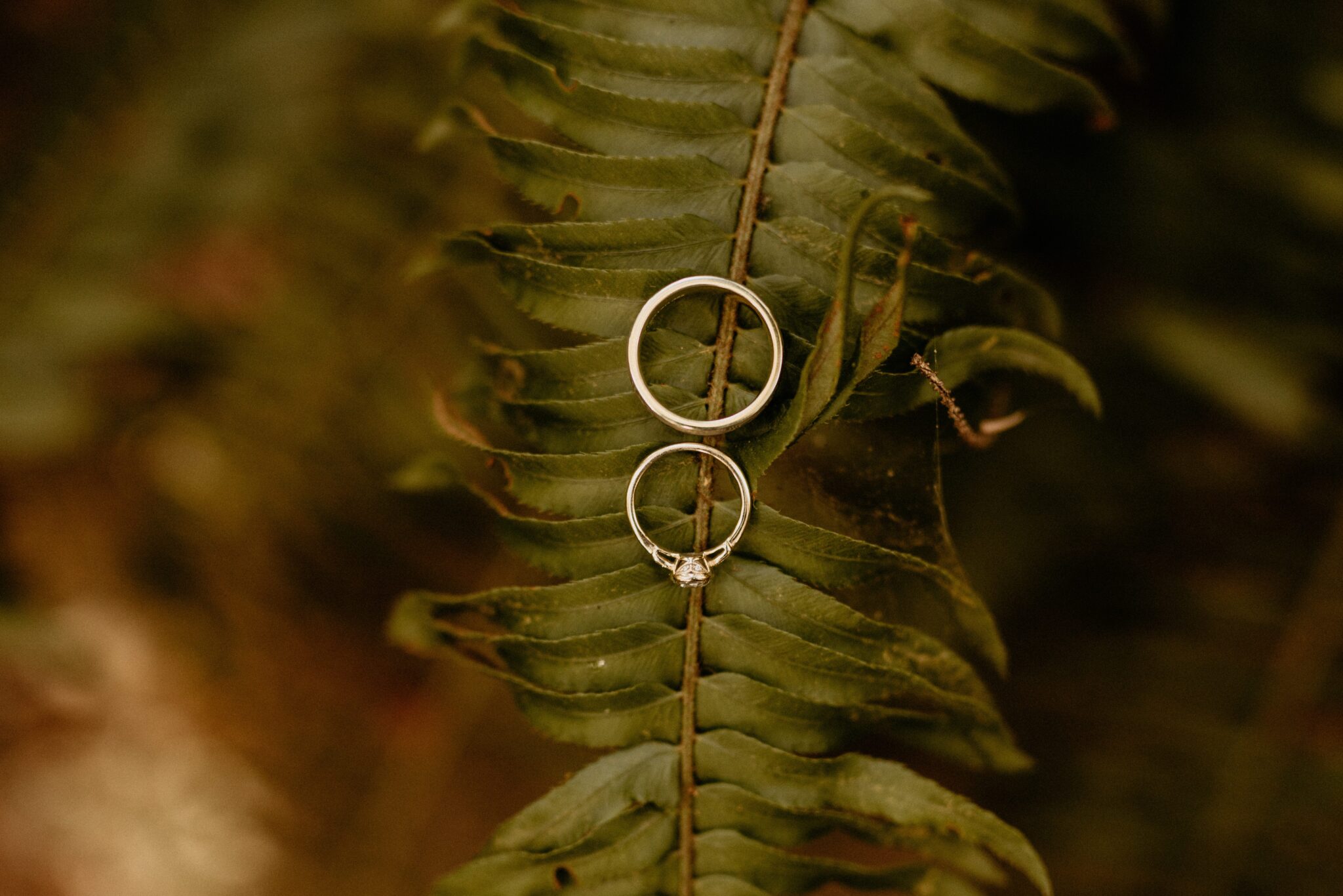 A Simple Guide to Getting Your Oregon Marriage License