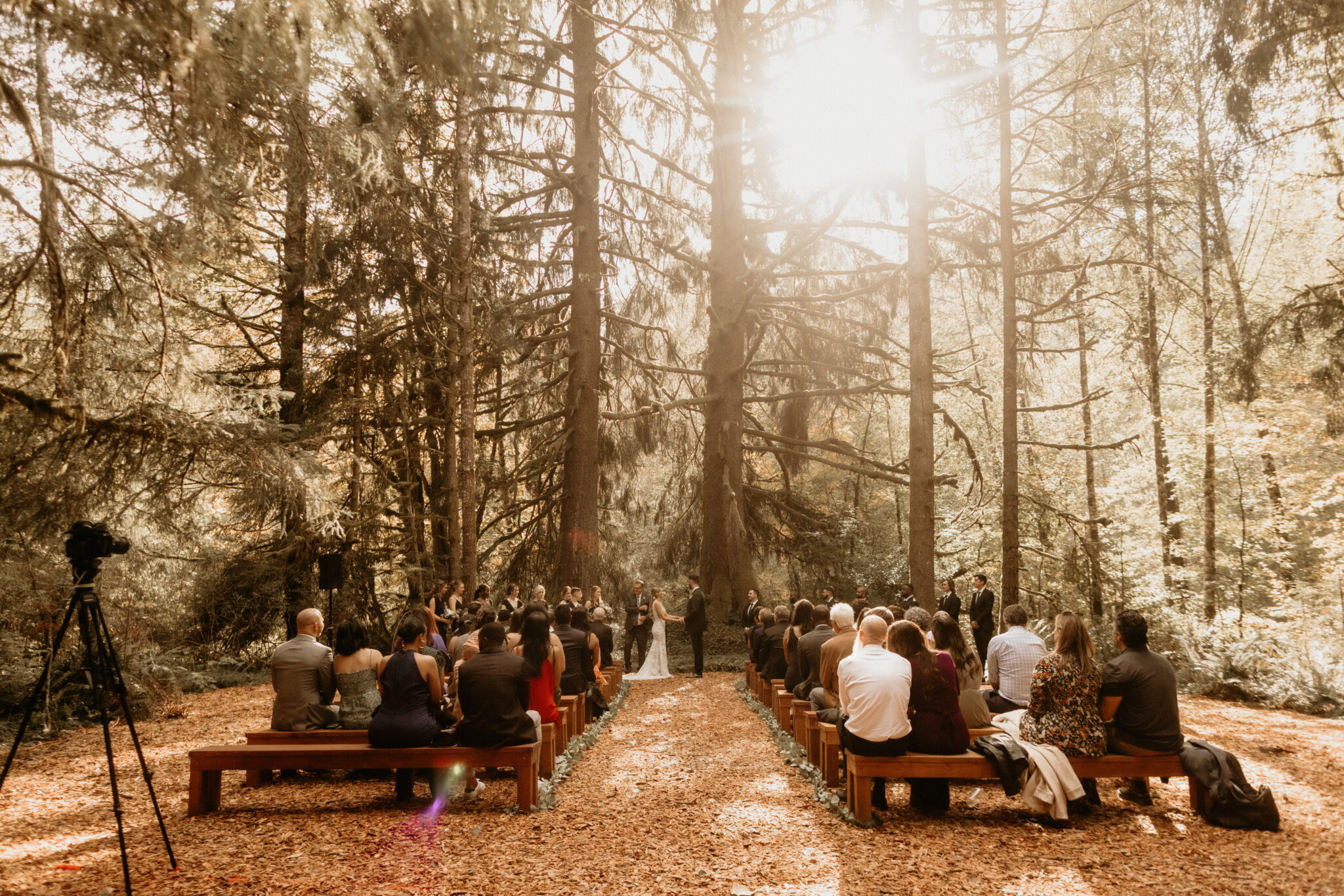 A Simple Guide to Getting Your Oregon Marriage License